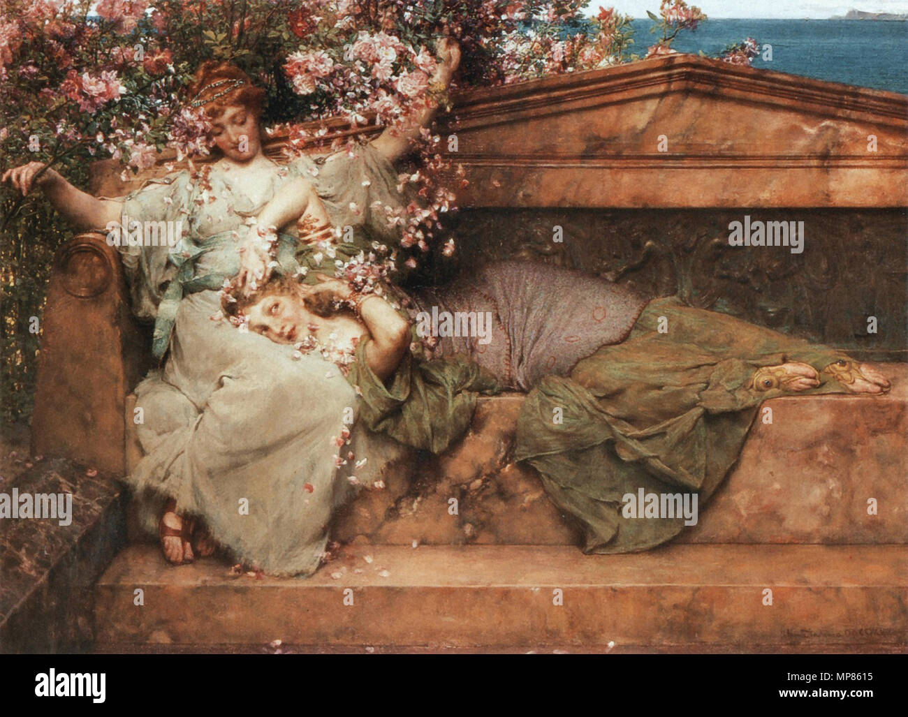 Alma rose hi-res stock photography and images - Alamy
