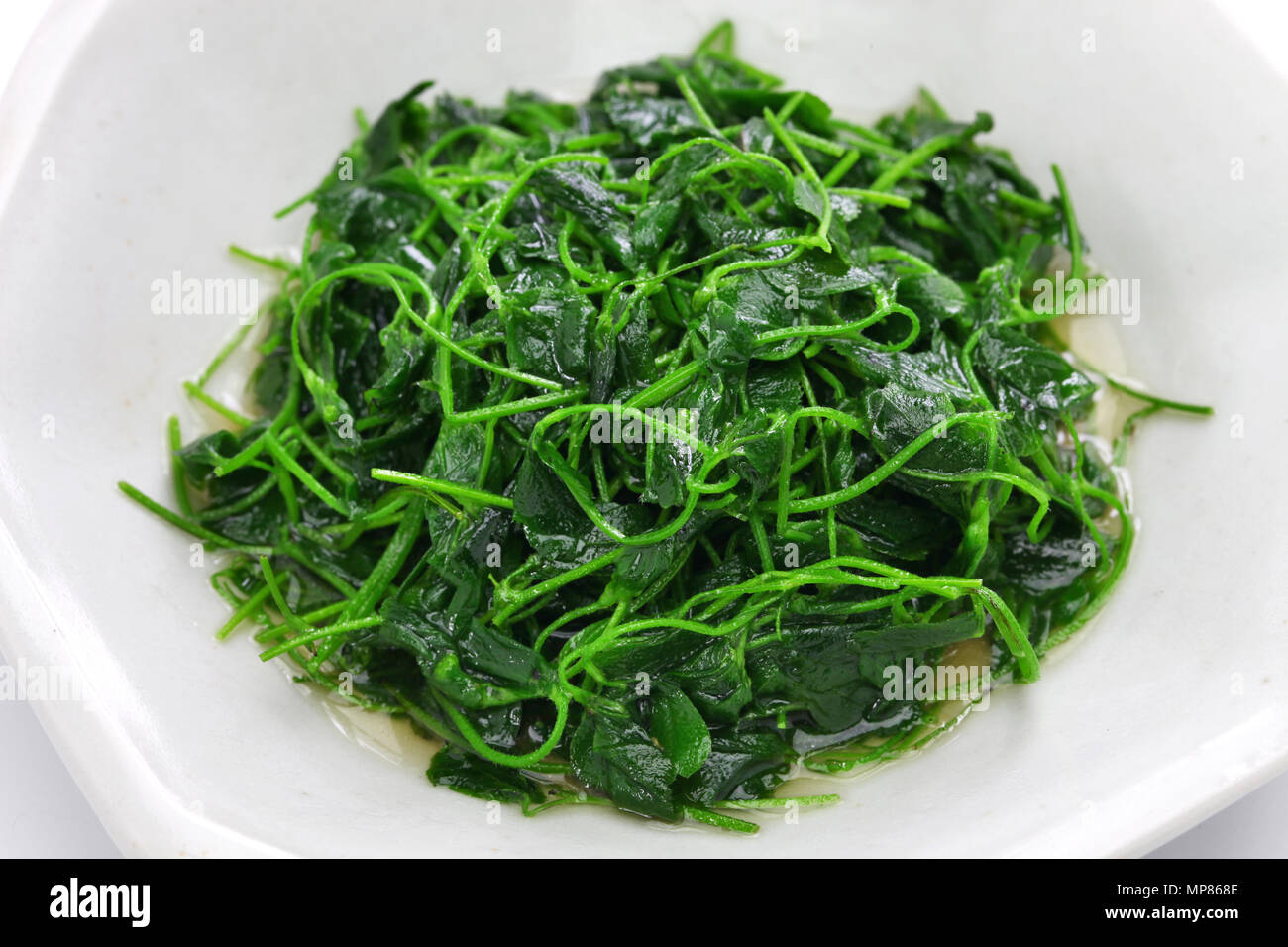 chinese white wine stir fried with toothed bur clover, shanghai cuisine ...