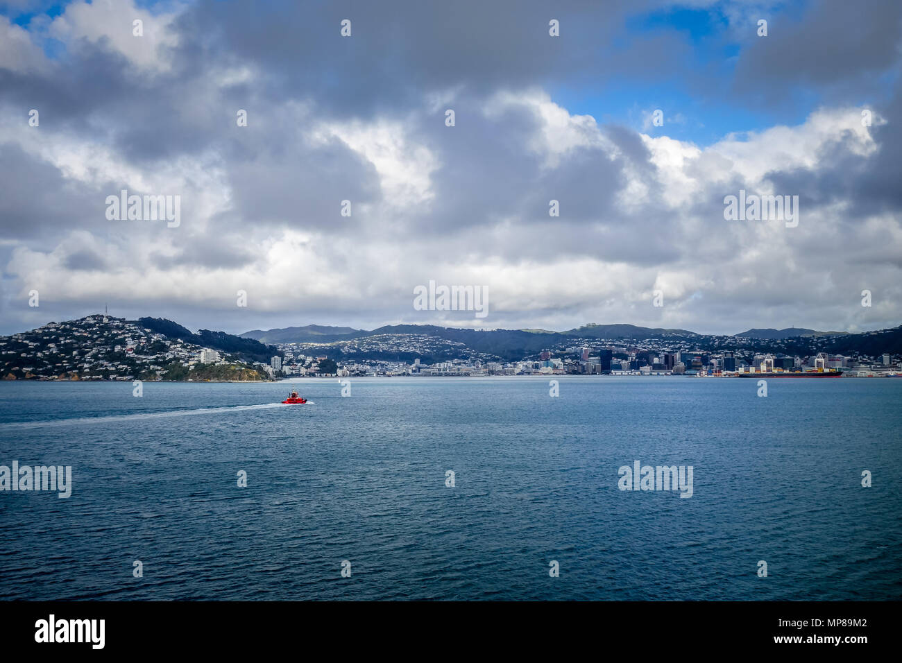 Wellington city view hi-res stock photography and images - Alamy