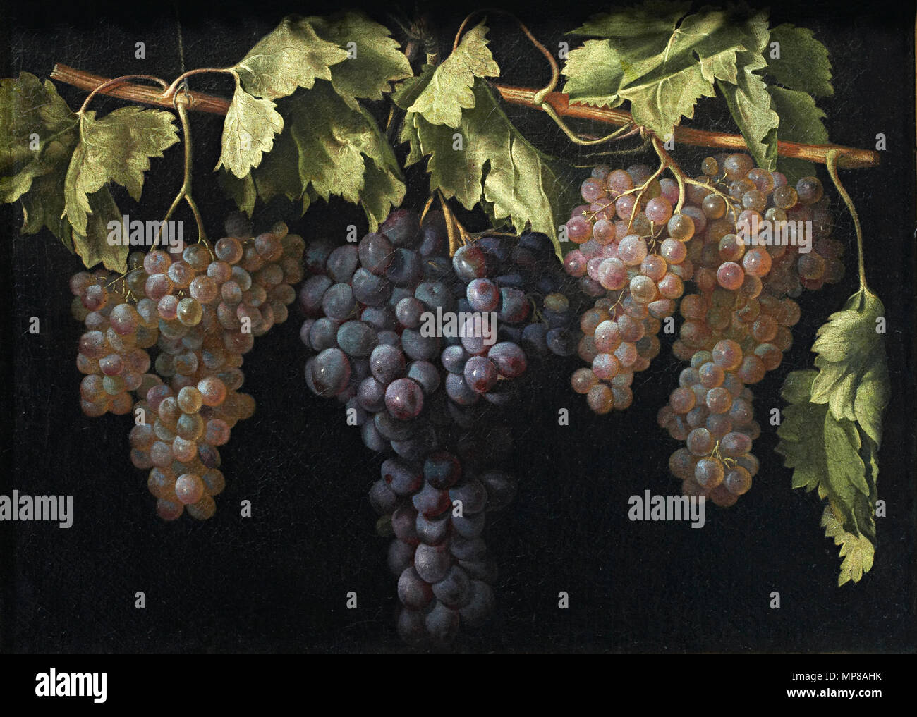 Juan fernandez el labrador hi-res stock photography and images - Alamy