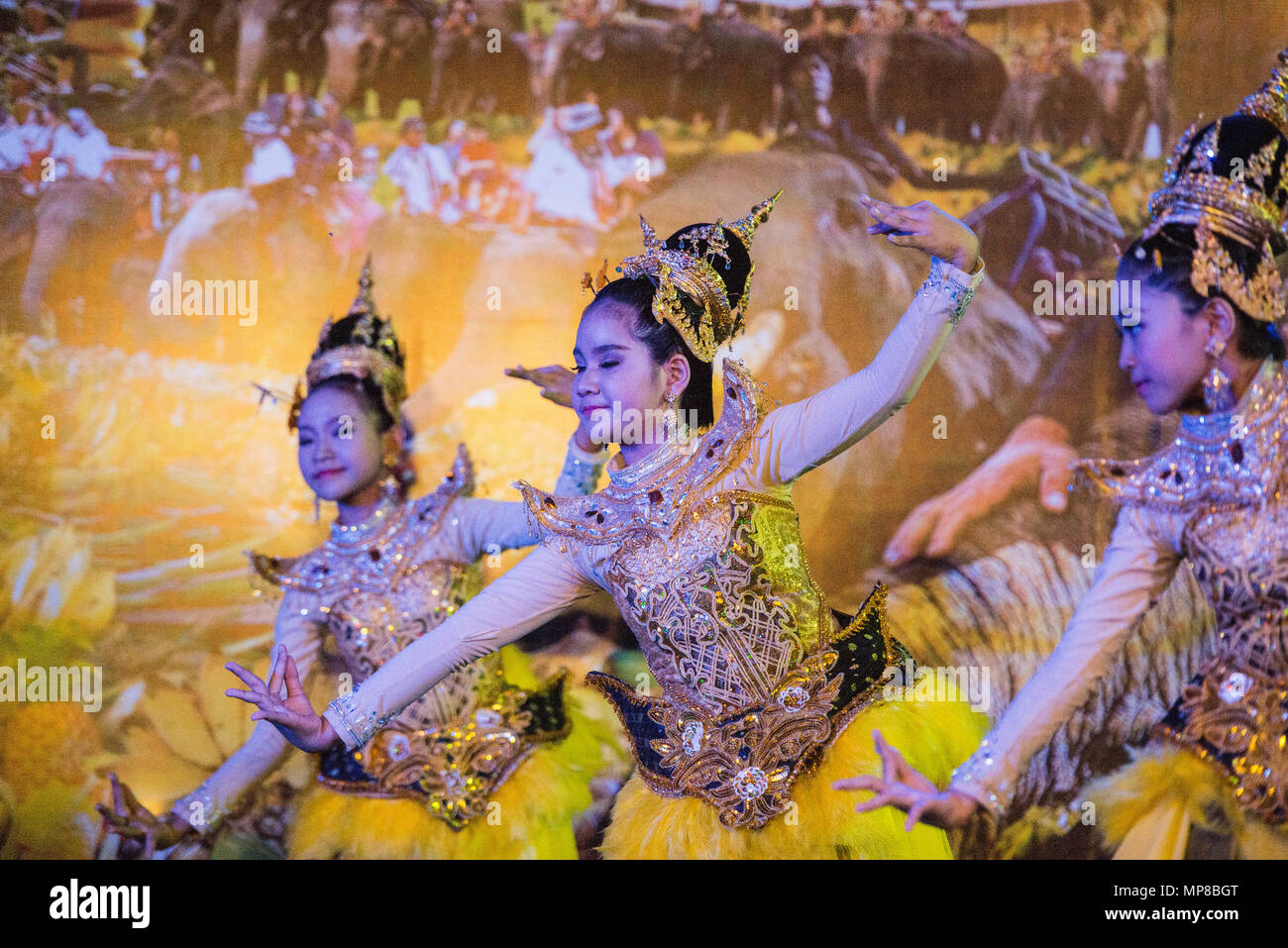 traditional thai Dance at the traditional Elephant Round Up Festival in ...