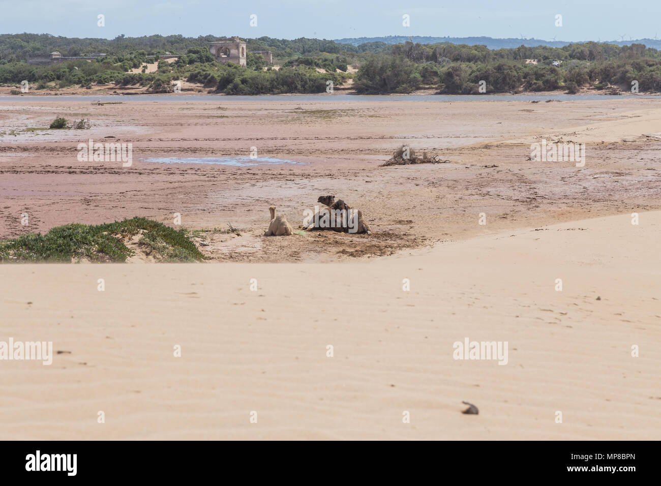Diabat morocco hi-res stock photography and images - Alamy