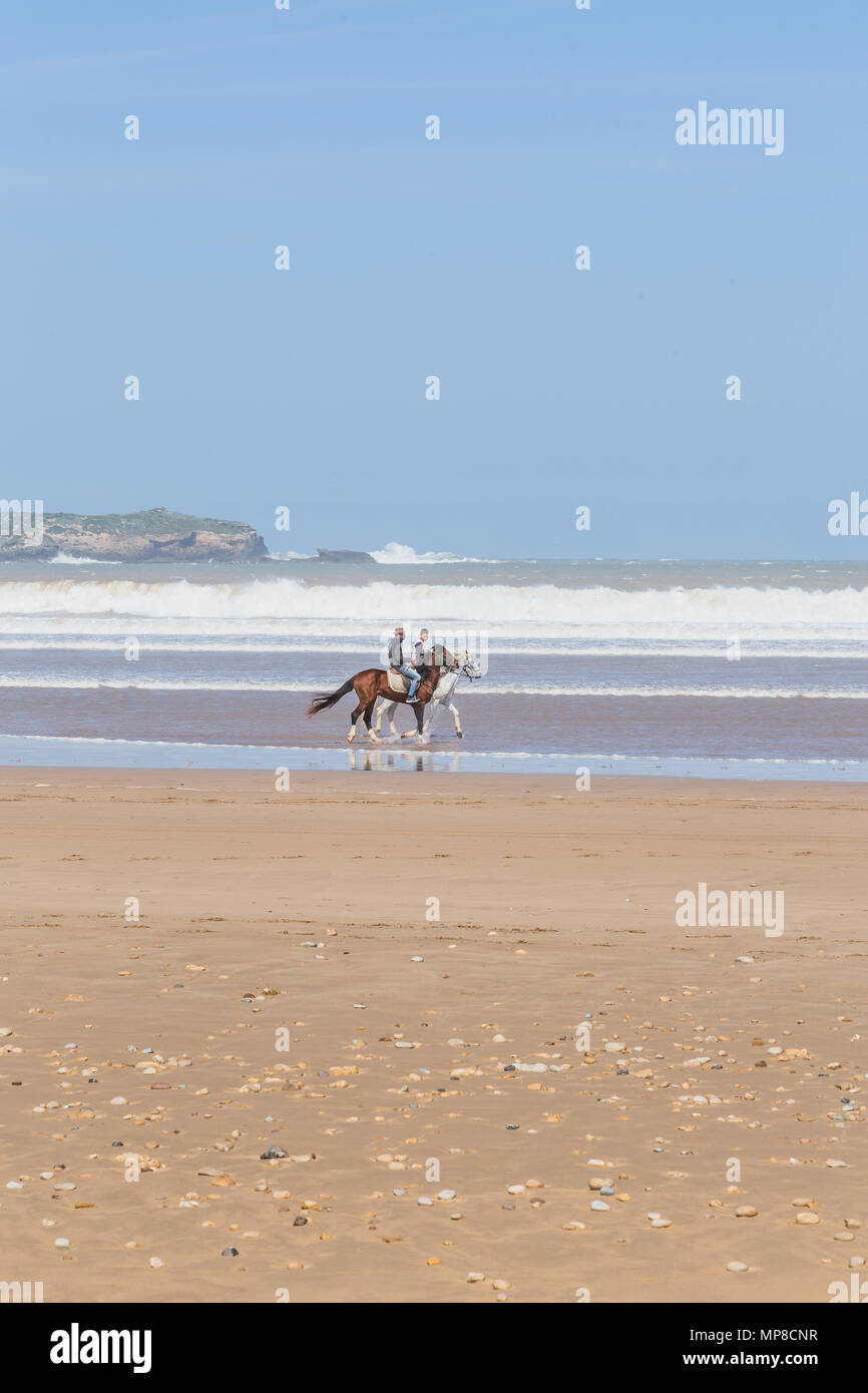 White horse at the beach hi-res stock photography and images - Alamy
