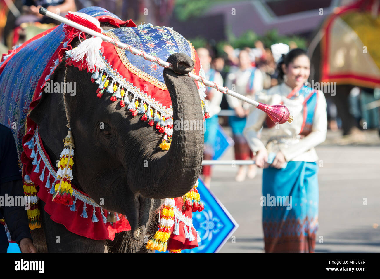 Siombail Eilifint Thai