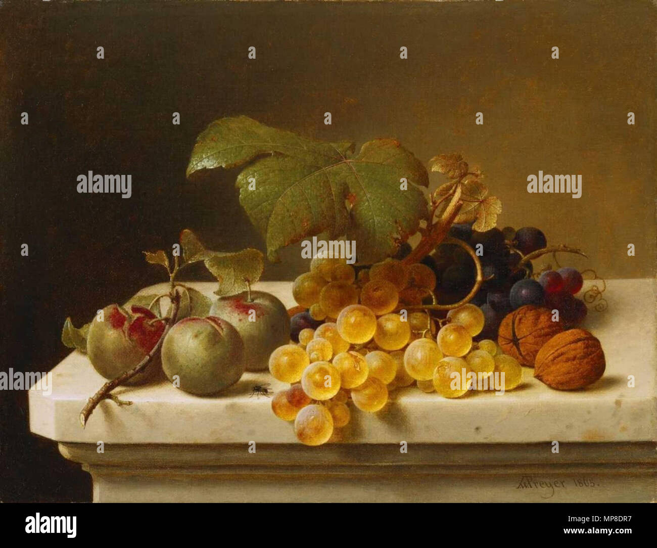 Johann wilhelm preyer hi-res stock photography and images - Alamy