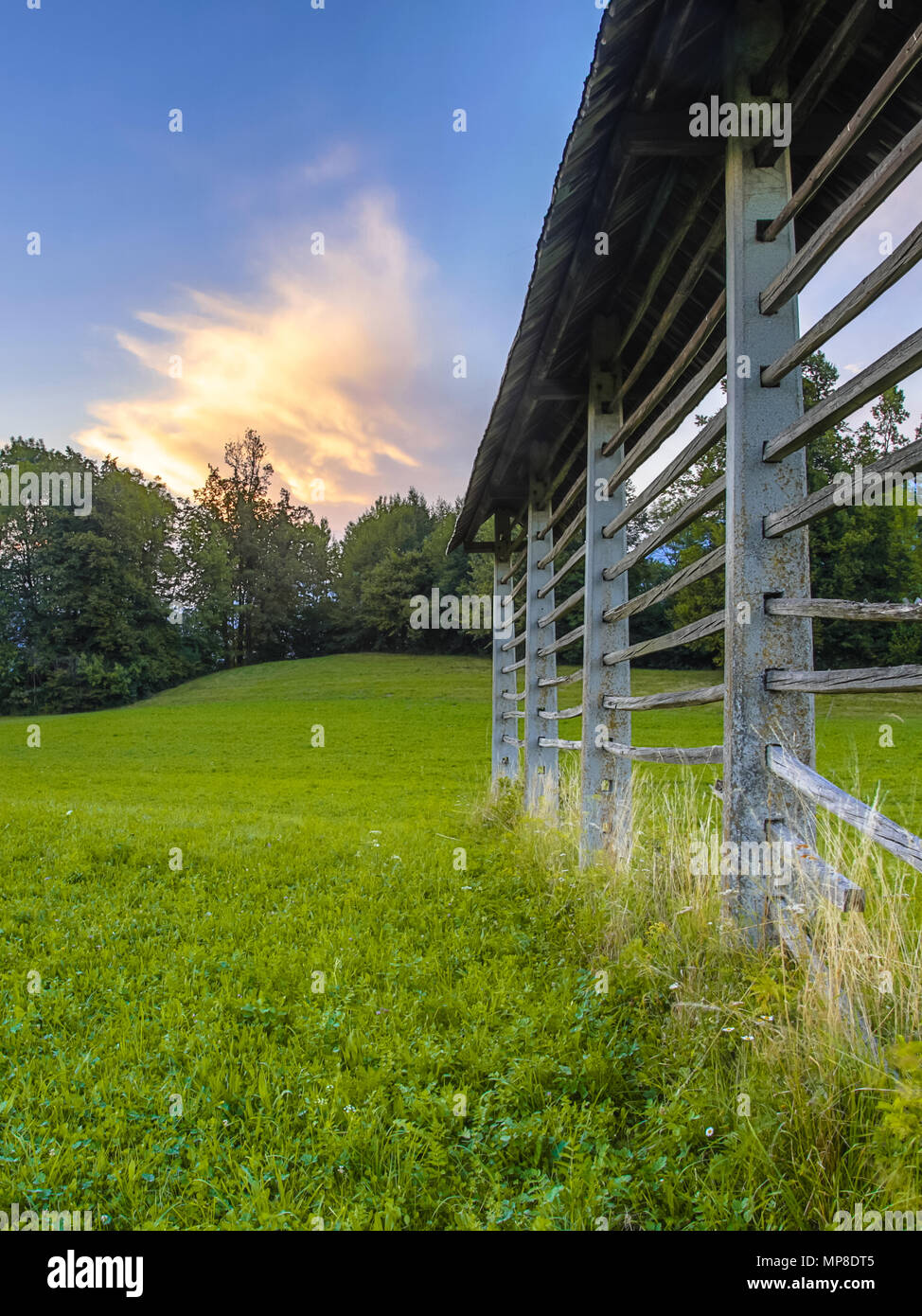 Traditional Slovenian hay rack, construction for drying grass on old ...