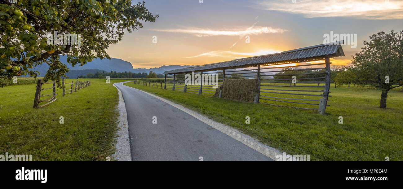 Traditional Slovenian hay rack, construction for drying grass on old ...