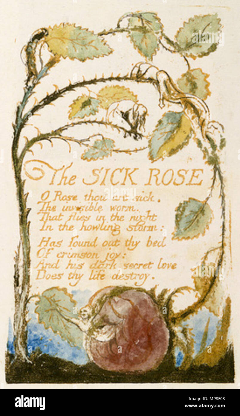 William blake the sick rose hi-res stock photography and images - Alamy