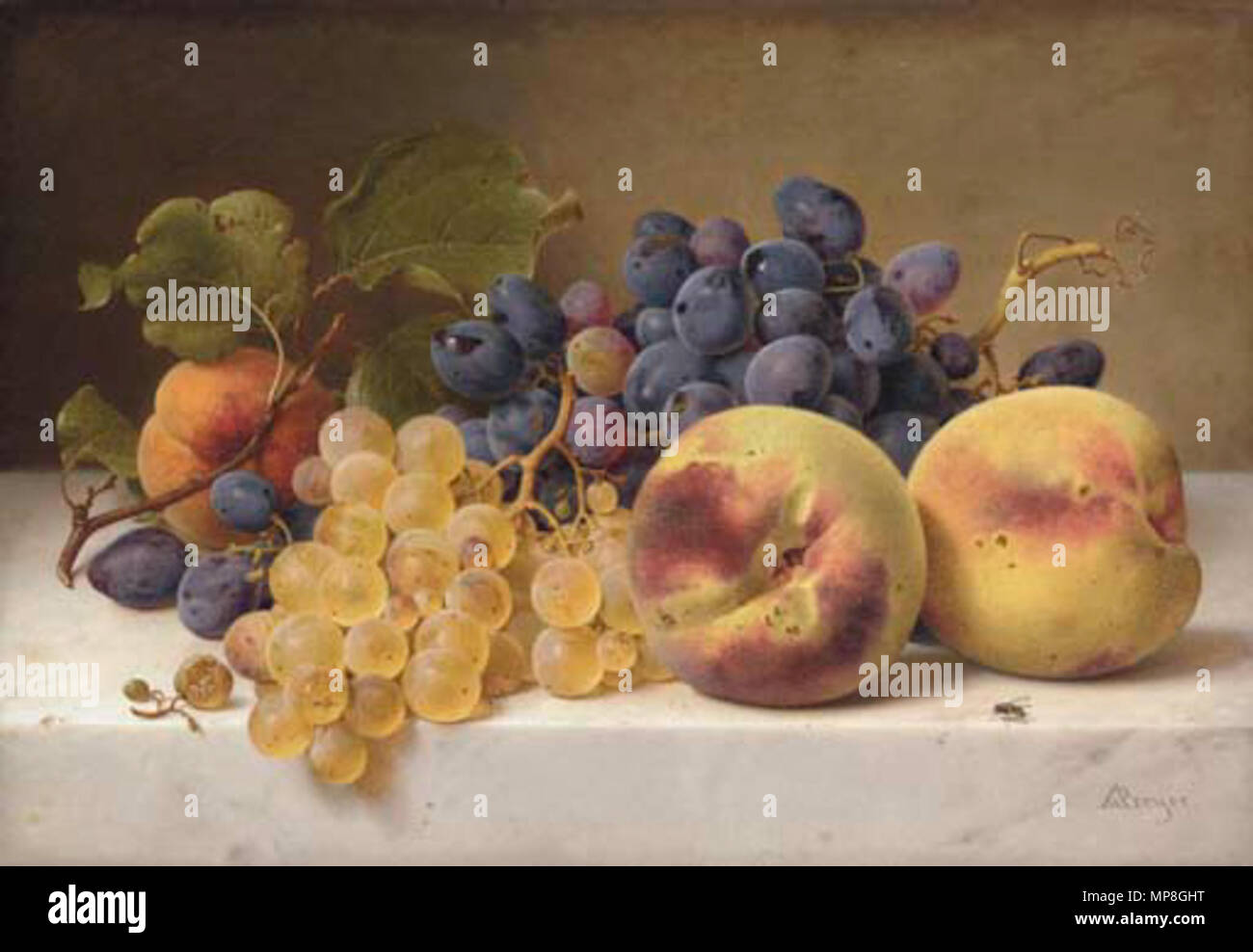 A Still Life with Peaches and Grapes on a Marble Ledge year unknown ...