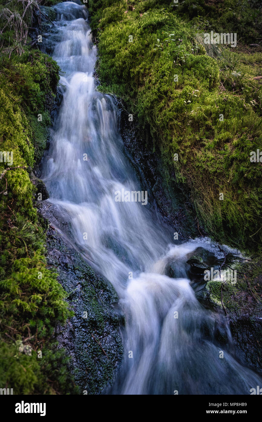 Close up from stream waterfall hi-res stock photography and images - Alamy