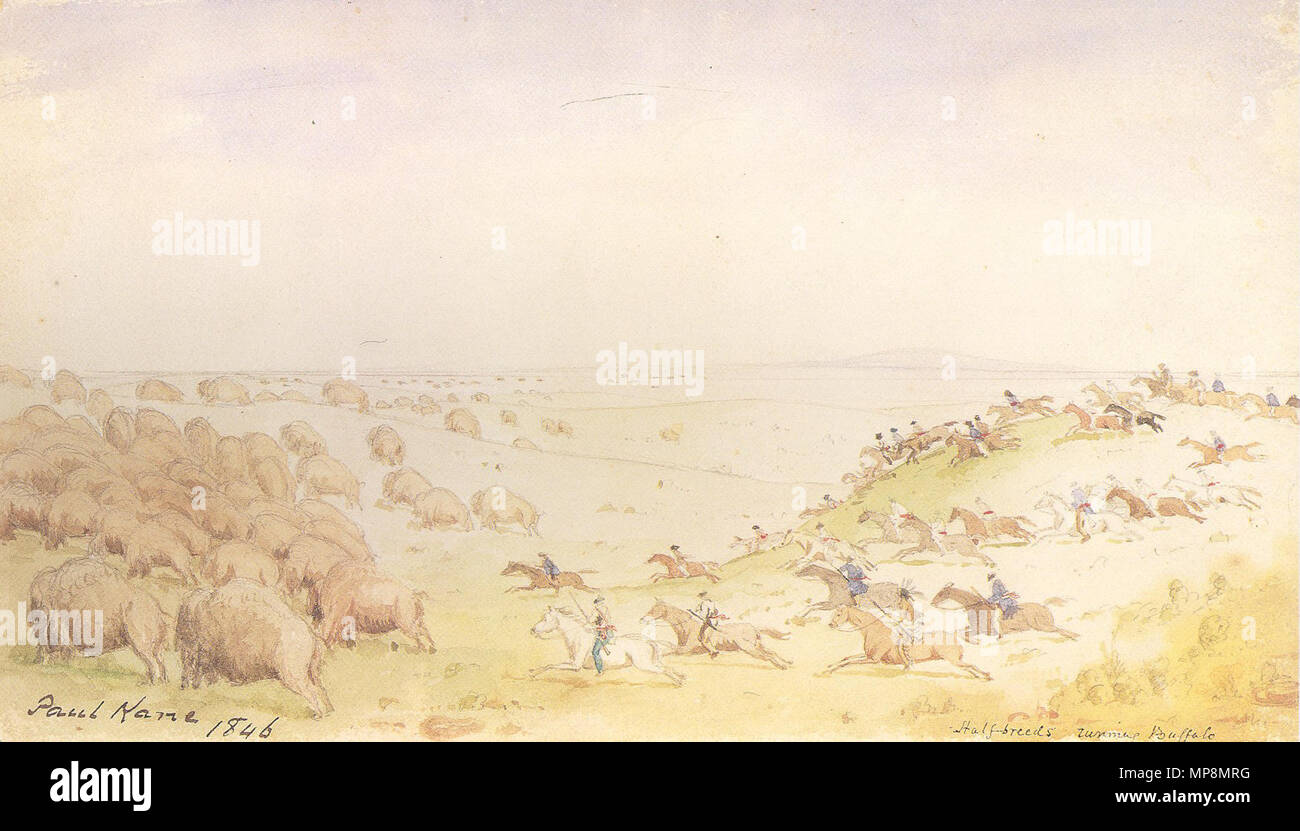 Native american buffalo tools hi-res stock photography and images - Alamy