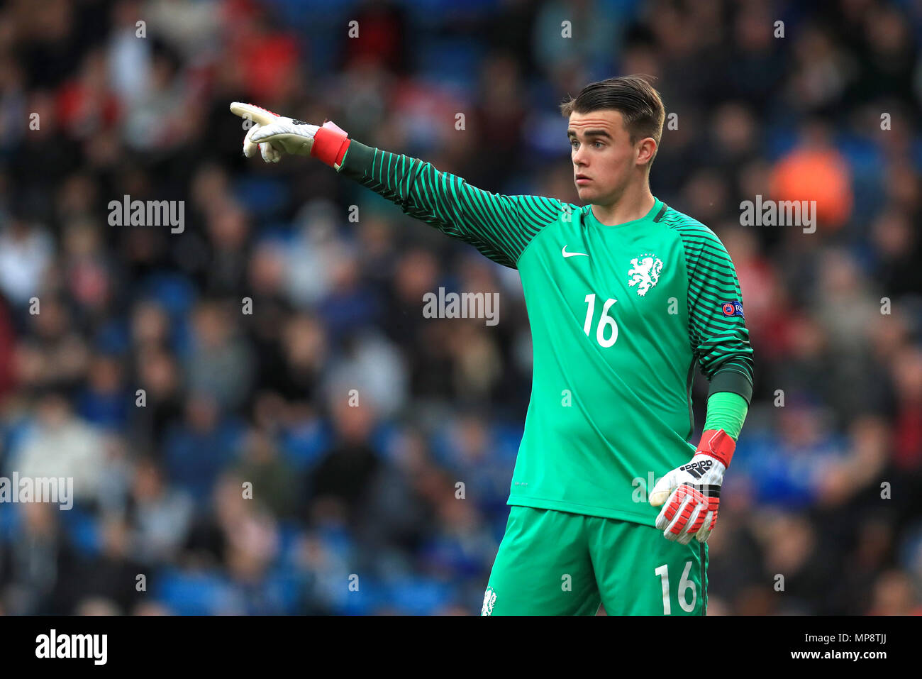 Joey koorevaar hi-res stock photography and images - Alamy