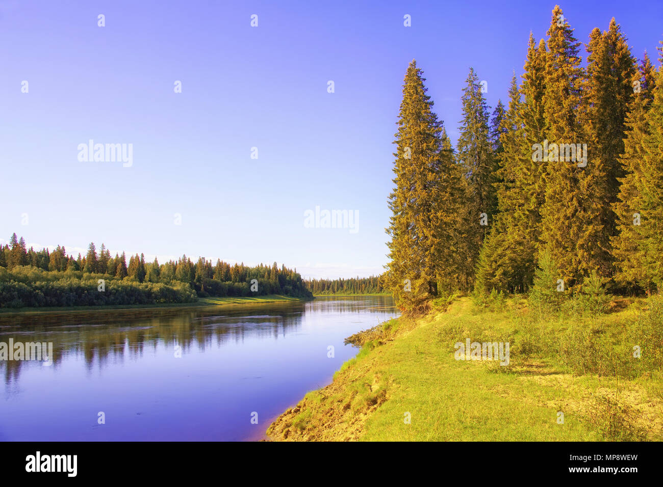 Taiga russia siberia river hi-res stock photography and images - Alamy