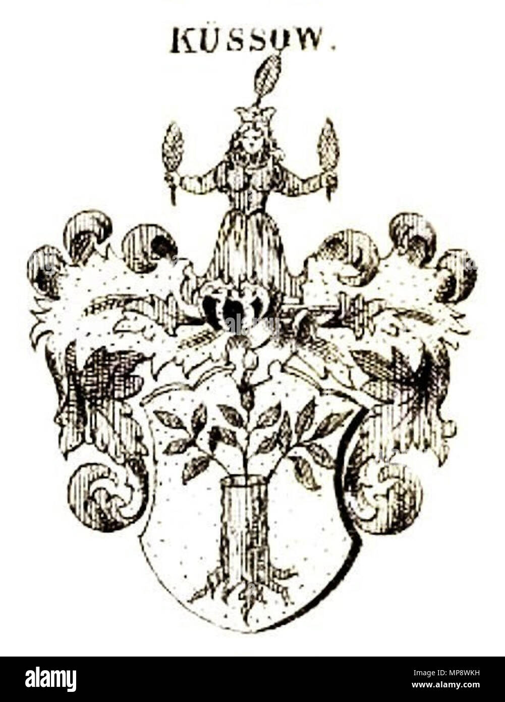 . Wappen der von Küssow, eines erloschenen pommerschen ...