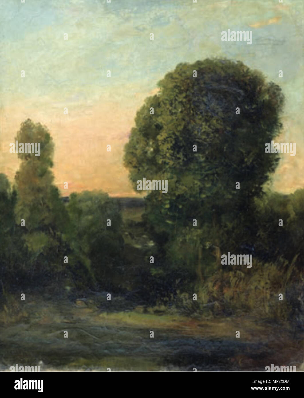 780 L'Arbre de Saintonge by Courbet musée Courbet Stock Photo - Alamy