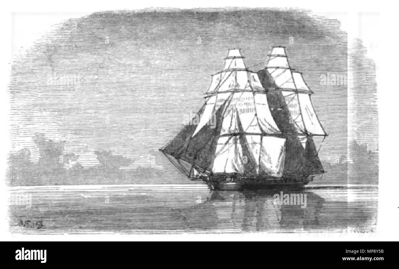 Morel leon hi-res stock photography and images - Alamy