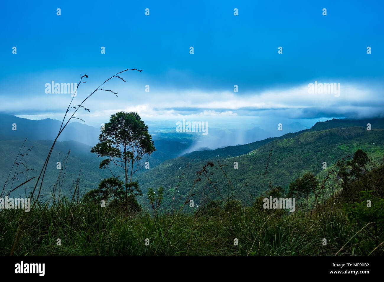 Rain scenery hi-res stock photography and images - Alamy