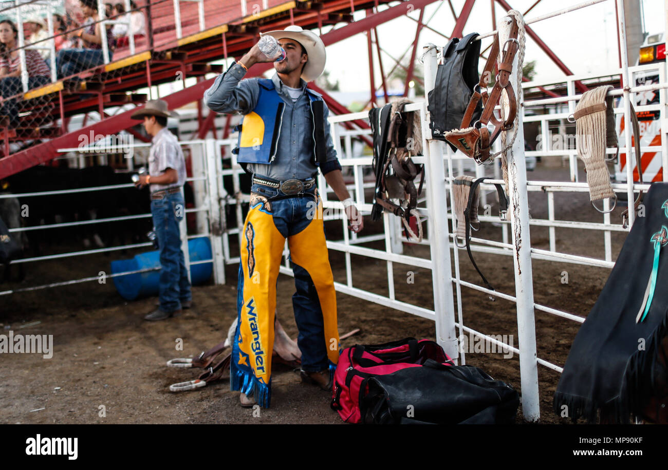 Rodeo Expogan. Behind the scene of the sport of Vaqueros, horse riders ...