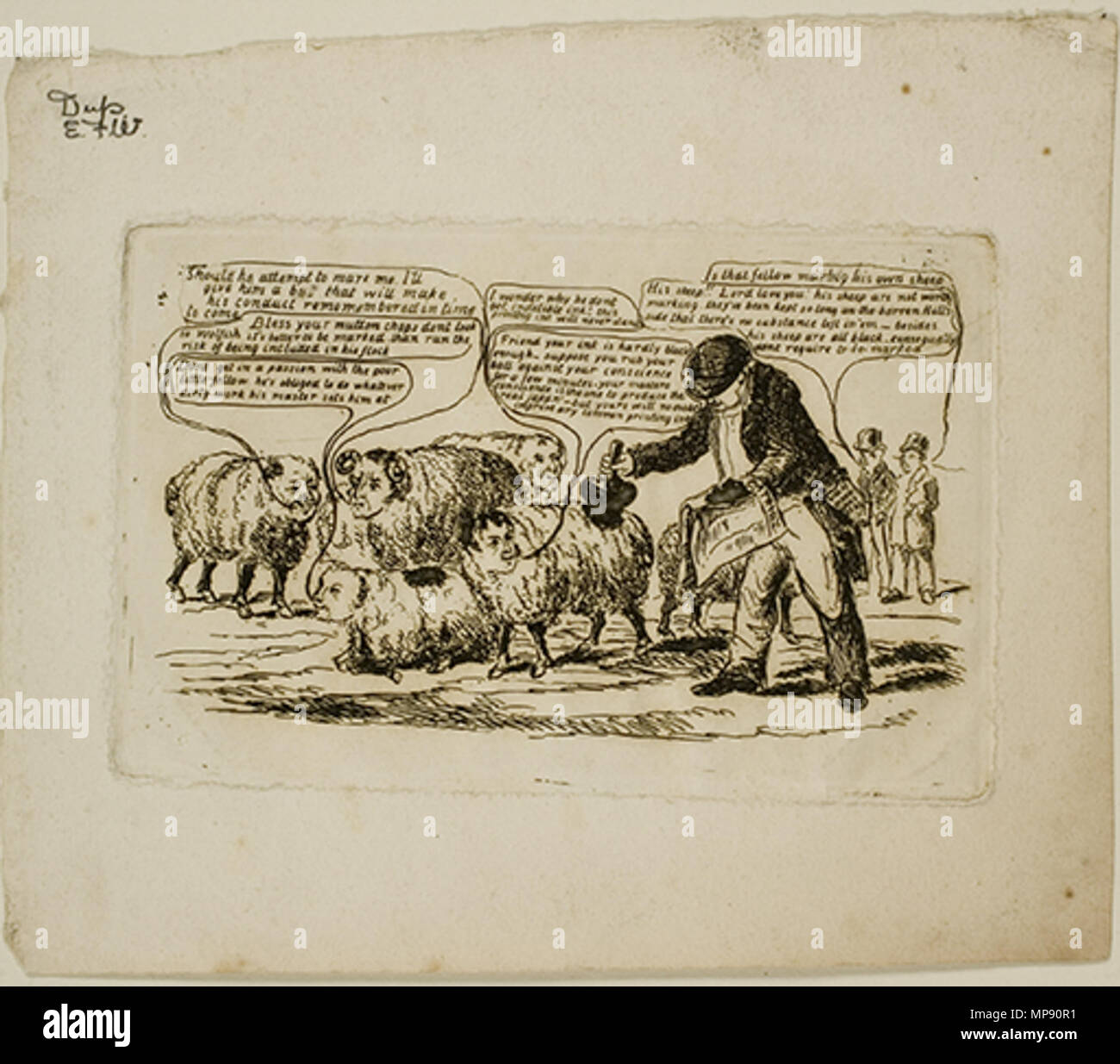 Marking sheep hi-res stock photography and images - Alamy