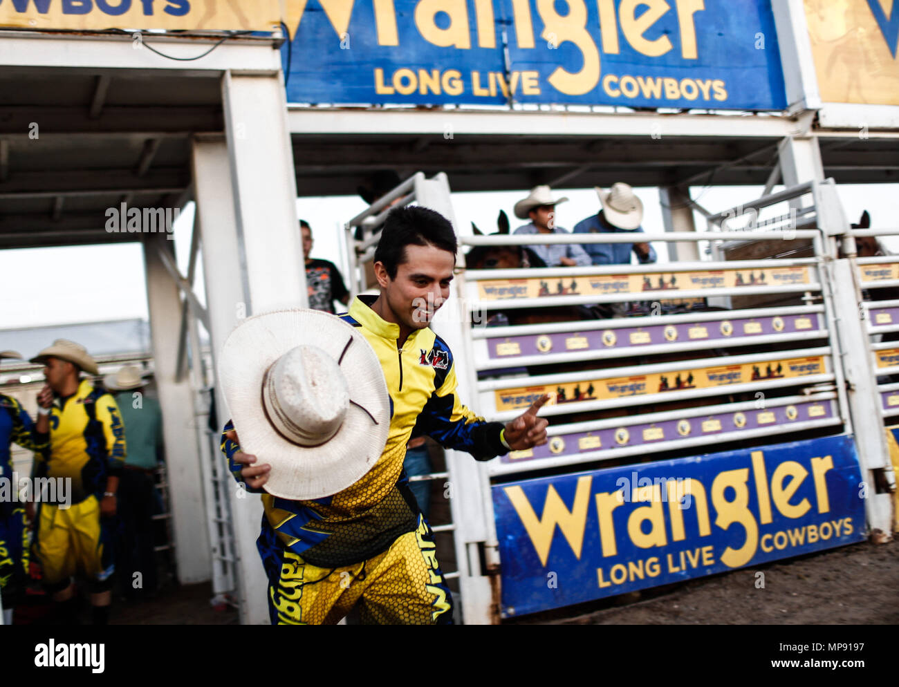 Rodeo Expogan. Behind the scene of the sport of Vaqueros, horse riders ...