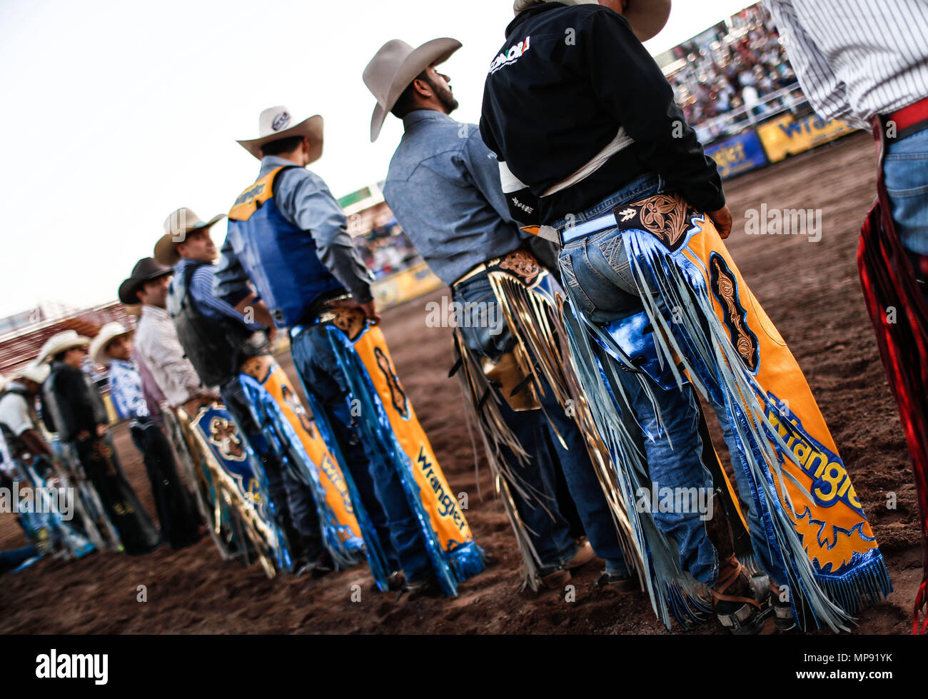 Rodeo Expogan. Behind the scene of the sport of Vaqueros, horse riders ...