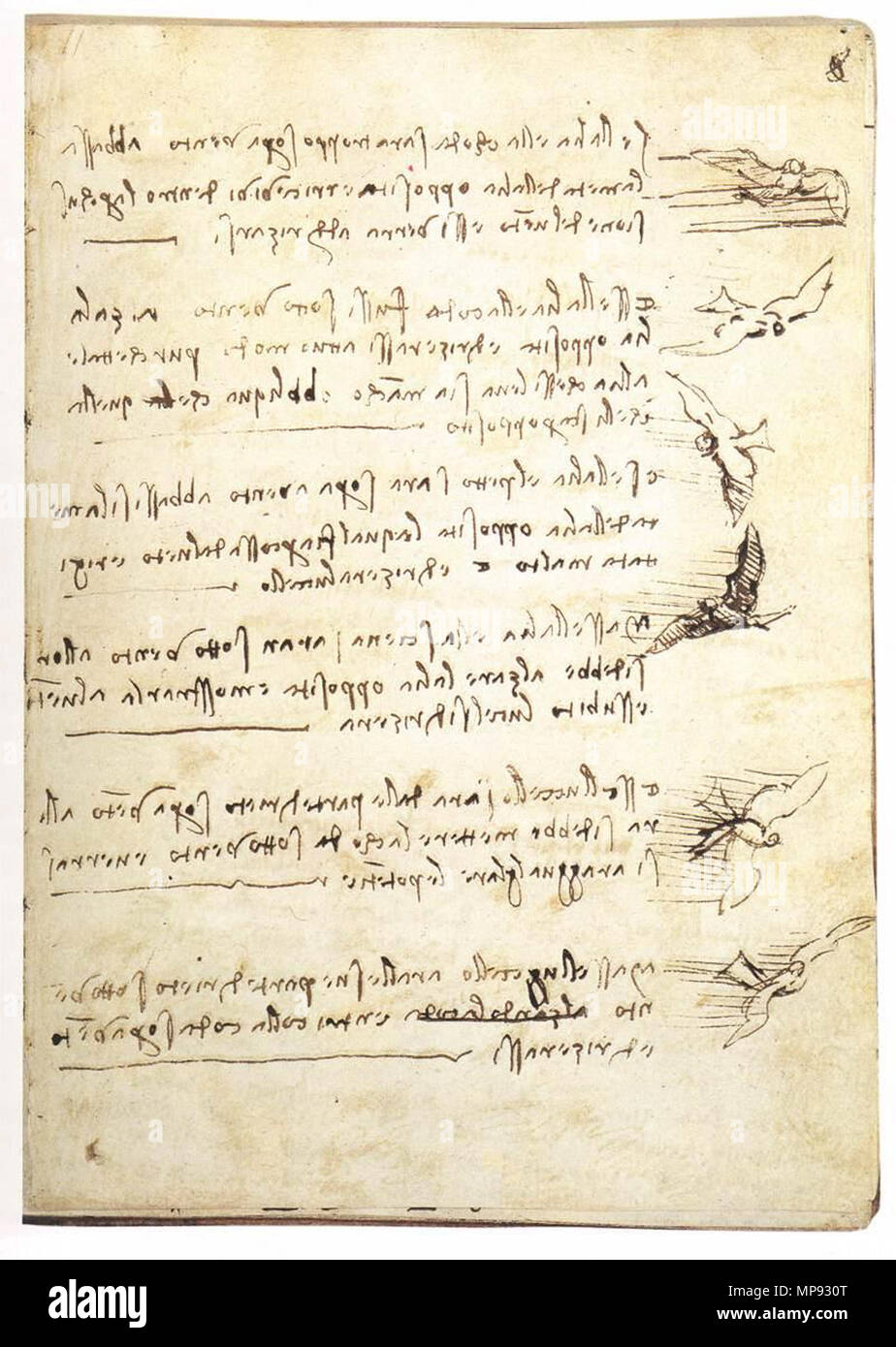 Da vinci codex hi-res stock photography and images - Alamy