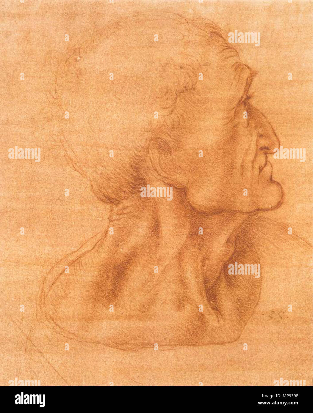 Da vinci last supper study hi-res stock photography and images - Alamy