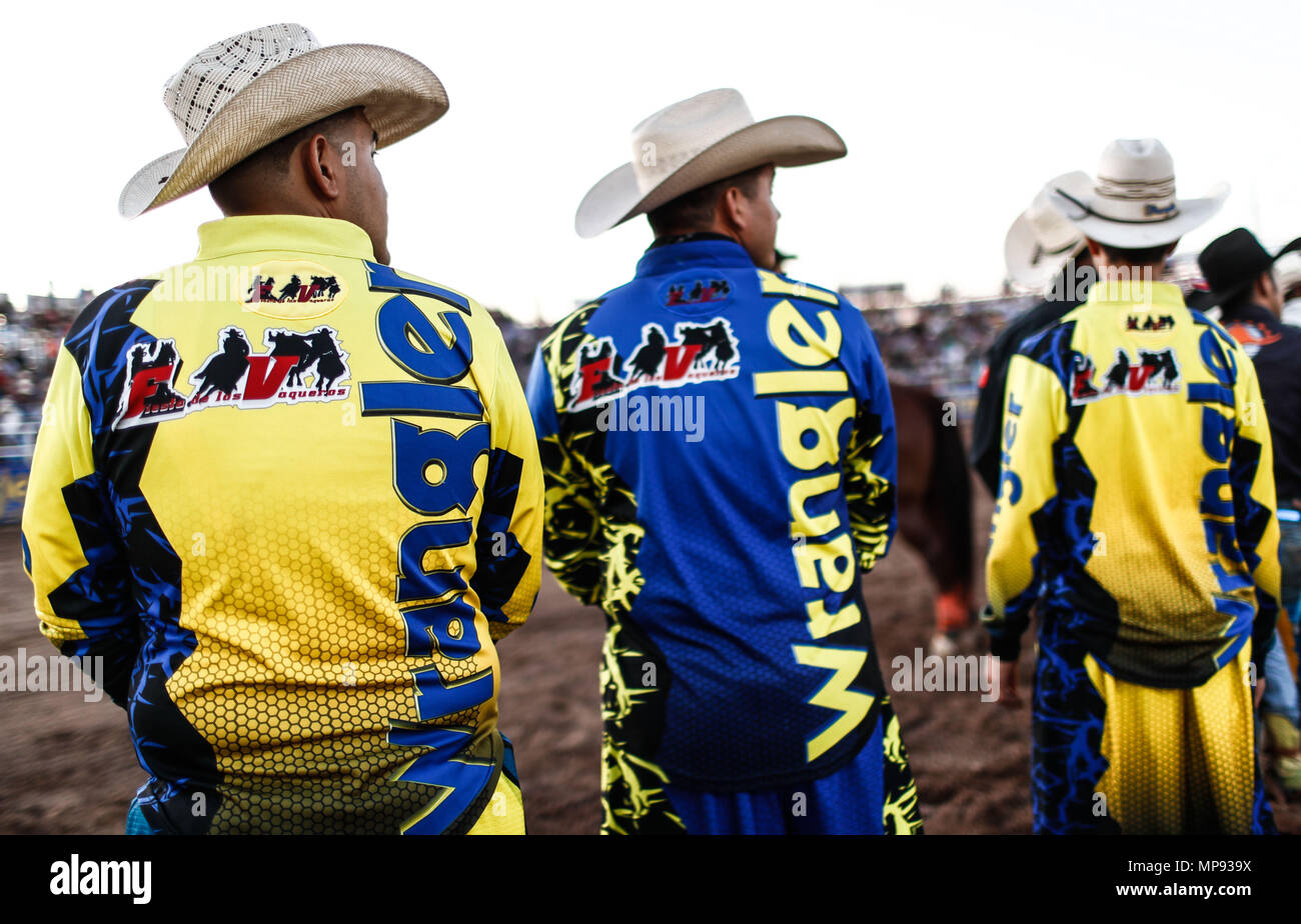 Rodeo Expogan. Behind the scene of the sport of Vaqueros, horse riders ...