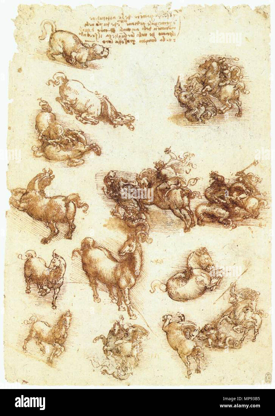 English: Study sheet with horses between 1513 and 1515. 804 Leonardo da vinci, Study sheet with ...