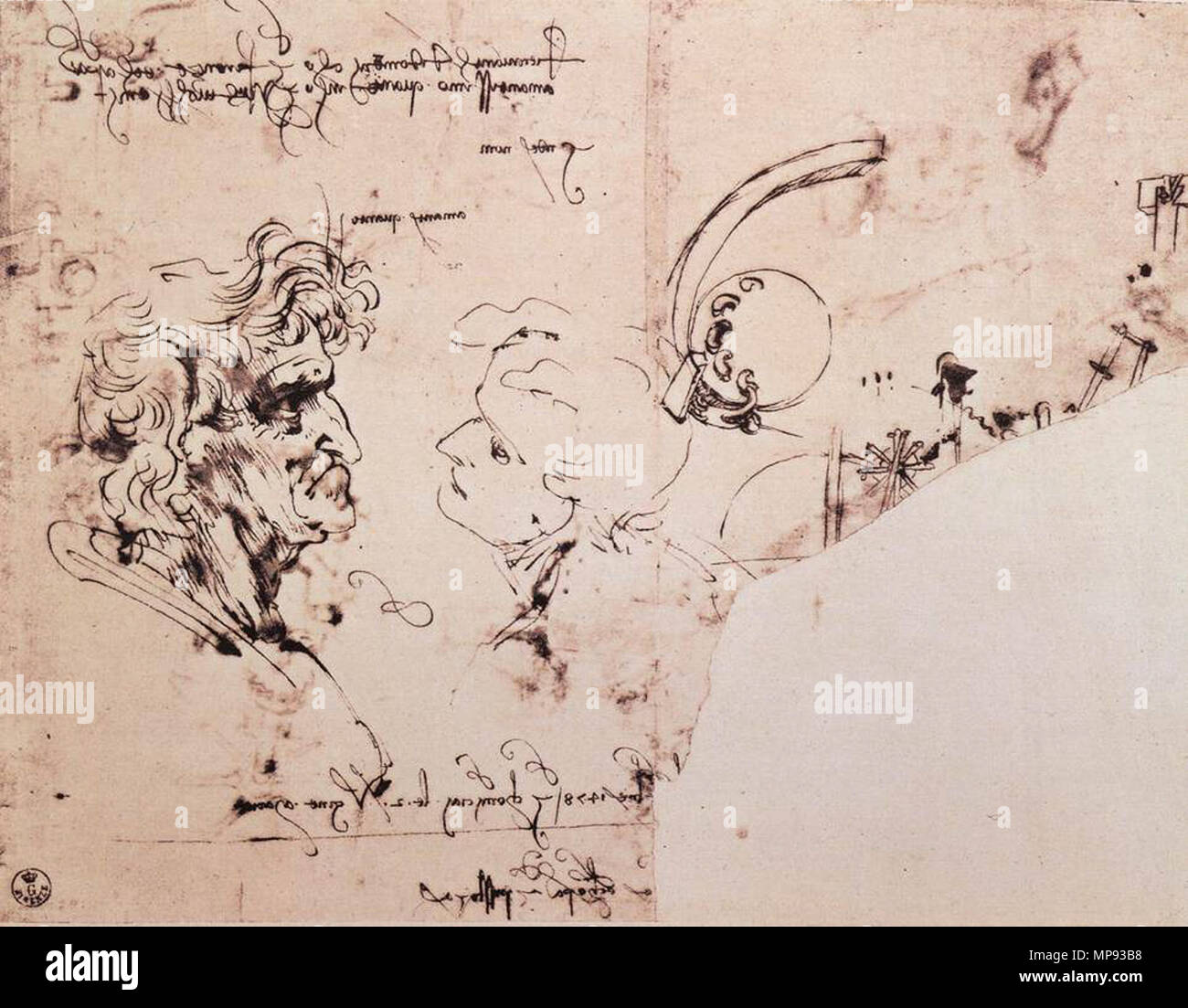 English: Study sheet 1478. 804 Leonardo da vinci, Study sheet, profiles ...