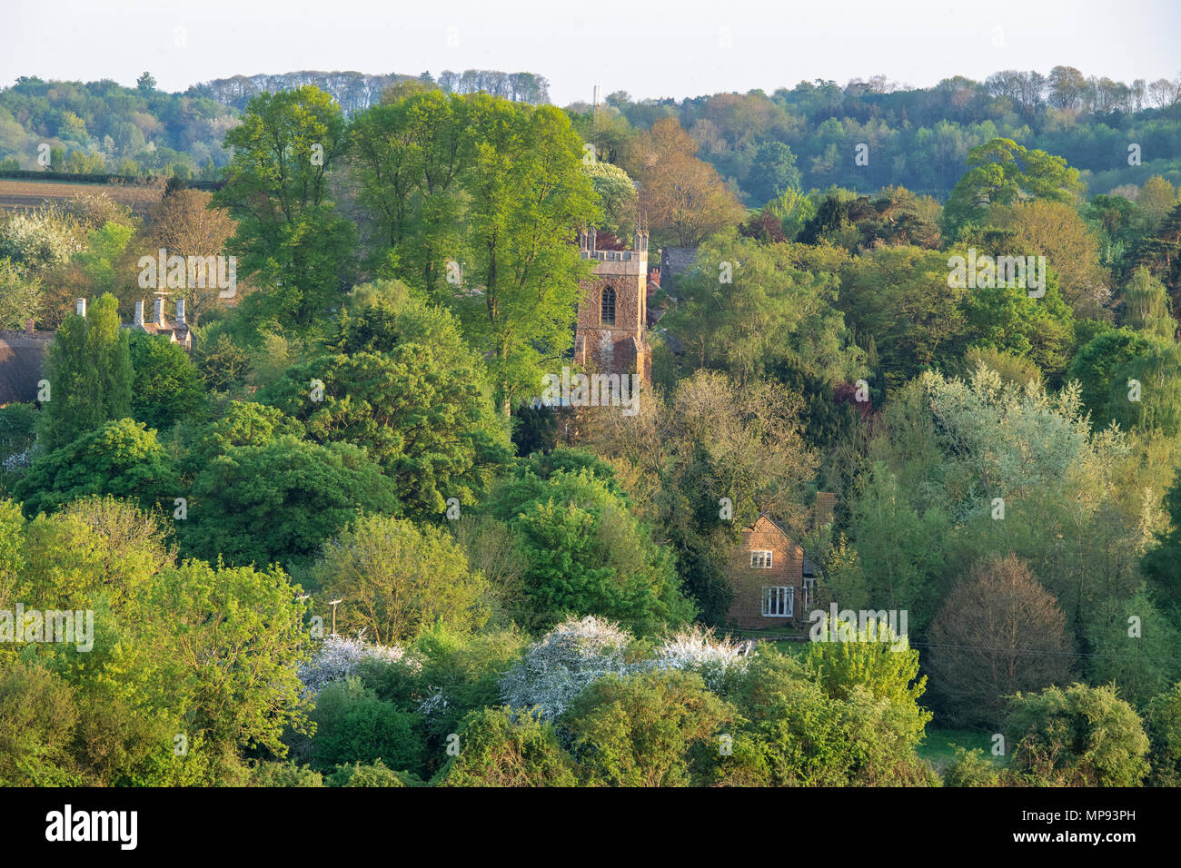 Saint Peter ad Vincula church in South Newington in the evening spring ...