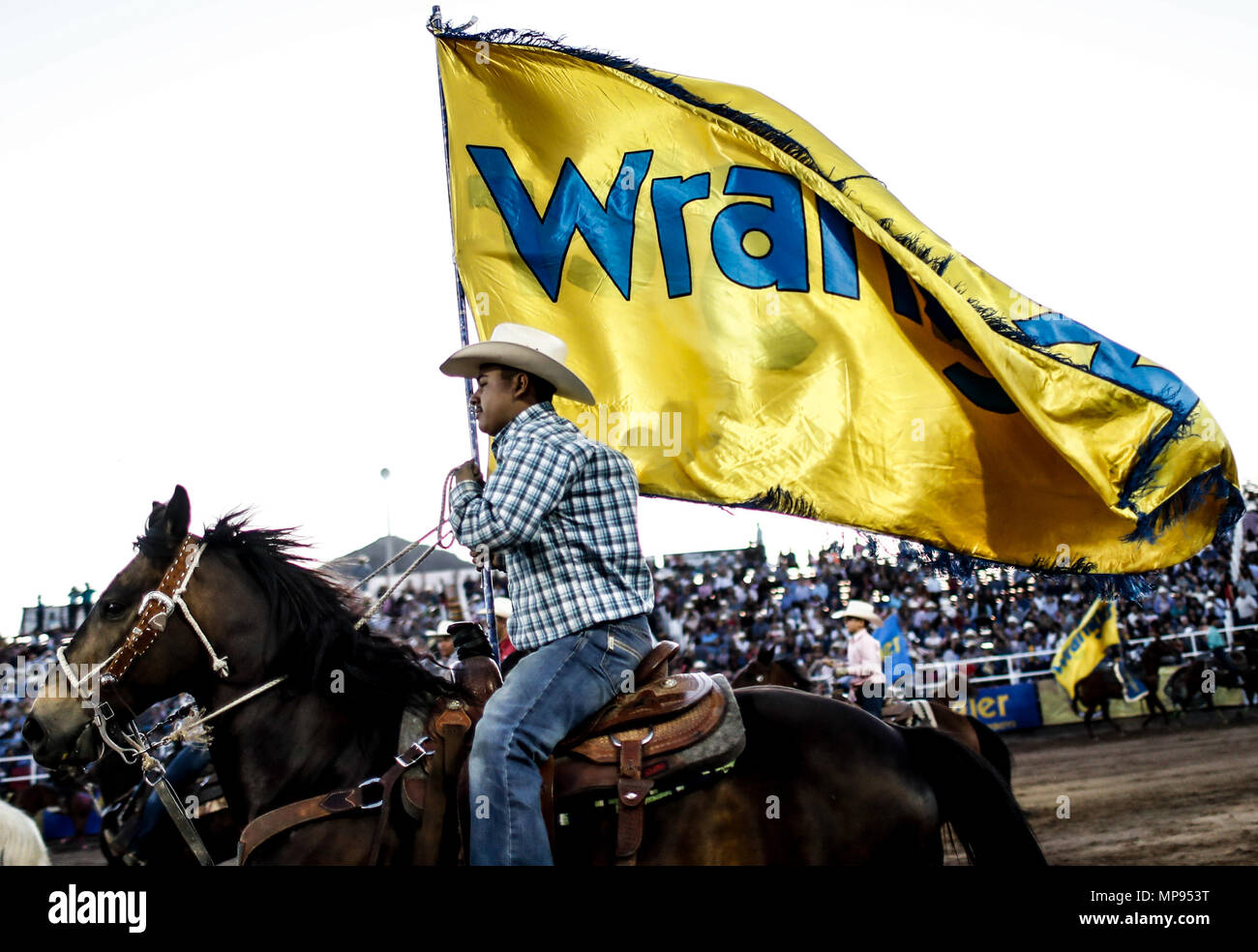 Rodeo Expogan. Behind the scene of the sport of Vaqueros, horse riders ...