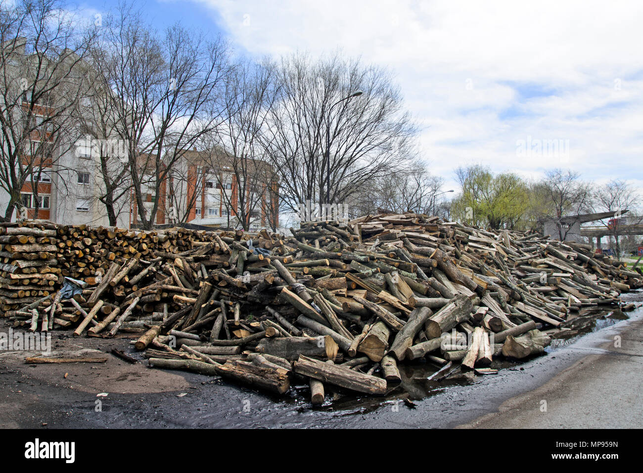 Wood at the depot, cut the log and ready for sale Stock Photo - Alamy