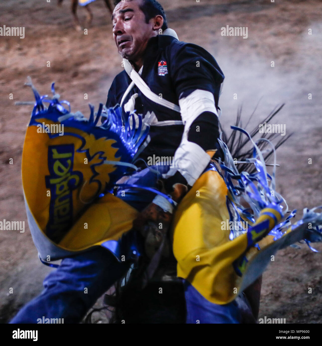 Rodeo de toro hi-res stock photography and images - Alamy