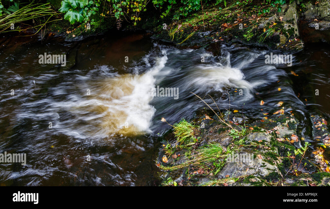 The flowing waters of the Springs Canal tributary alongside the main ...