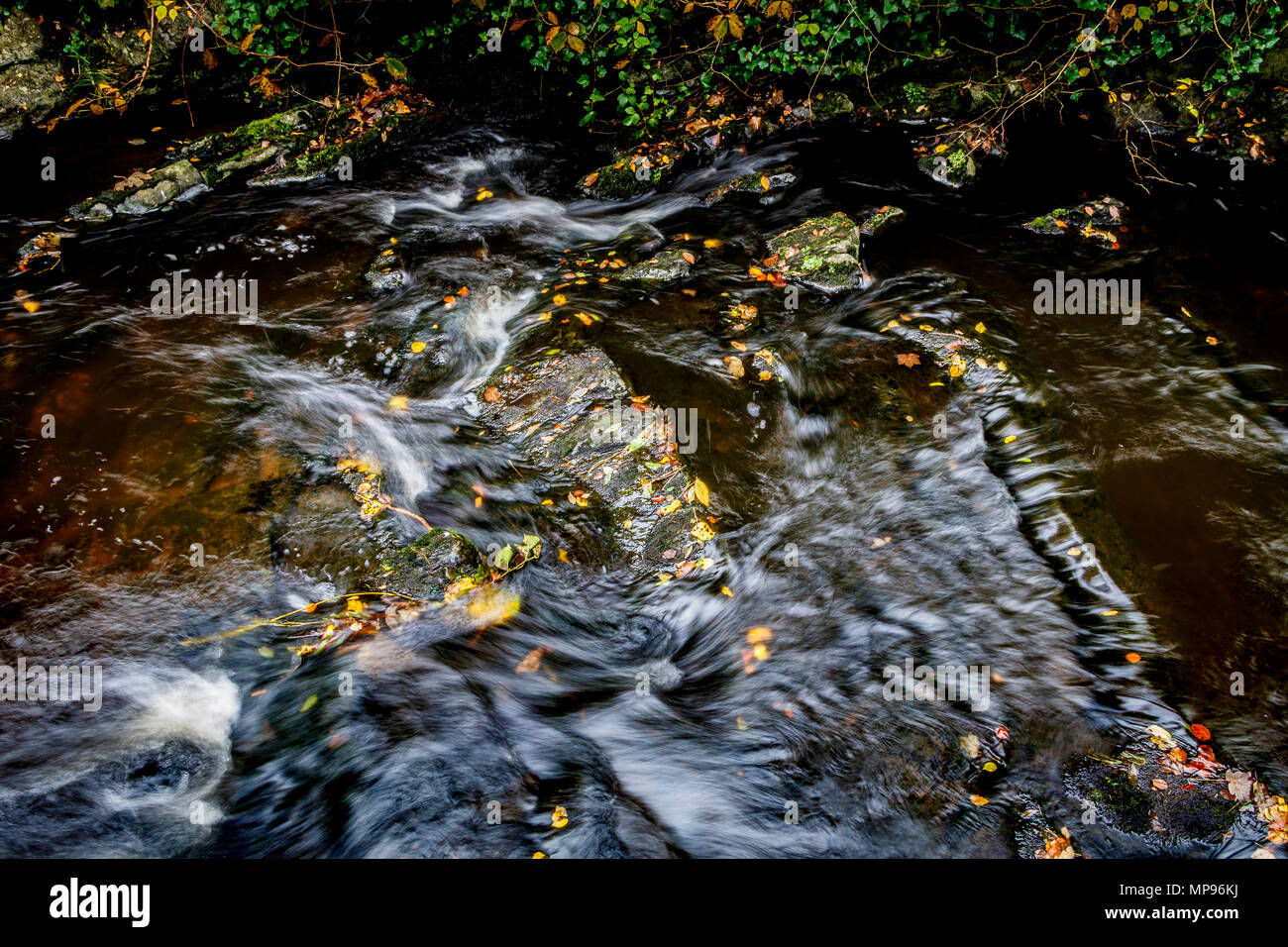 The flowing waters of the Springs Canal tributary alongside the main ...