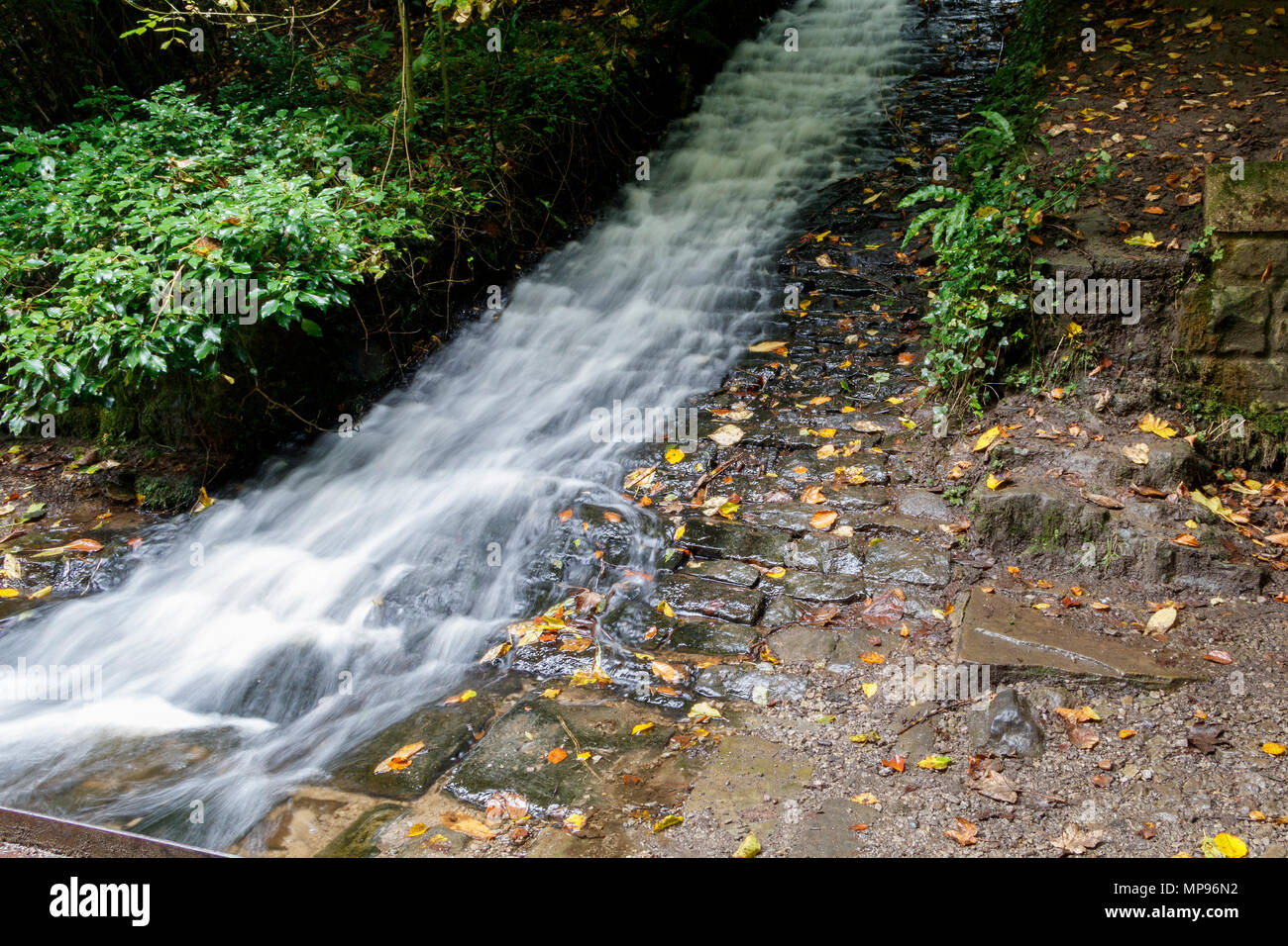 The flowing waters of the Springs Canal tributary alongside the main ...