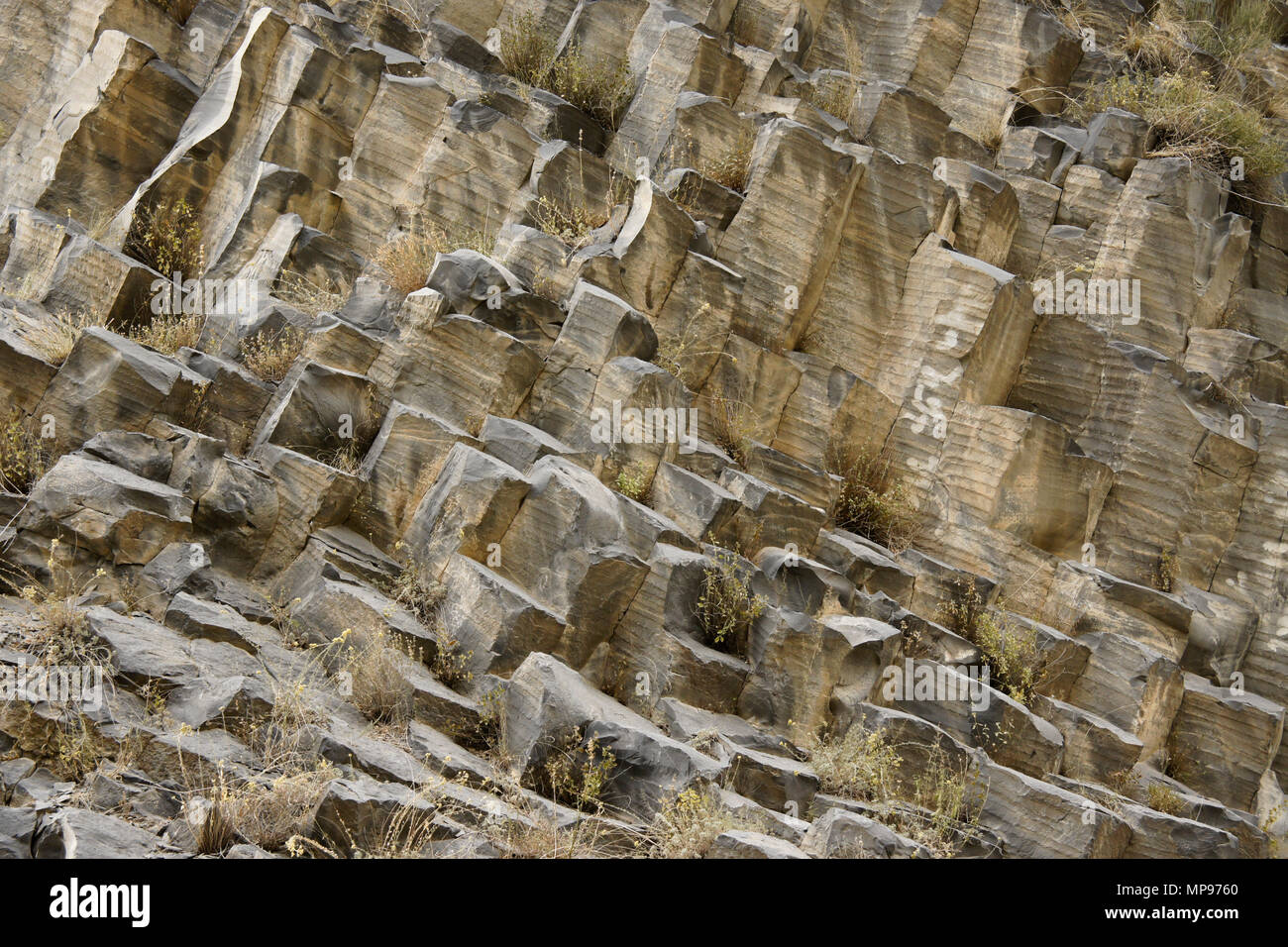Geological formation of octagonal basalt columns in Garni Gorge called ...