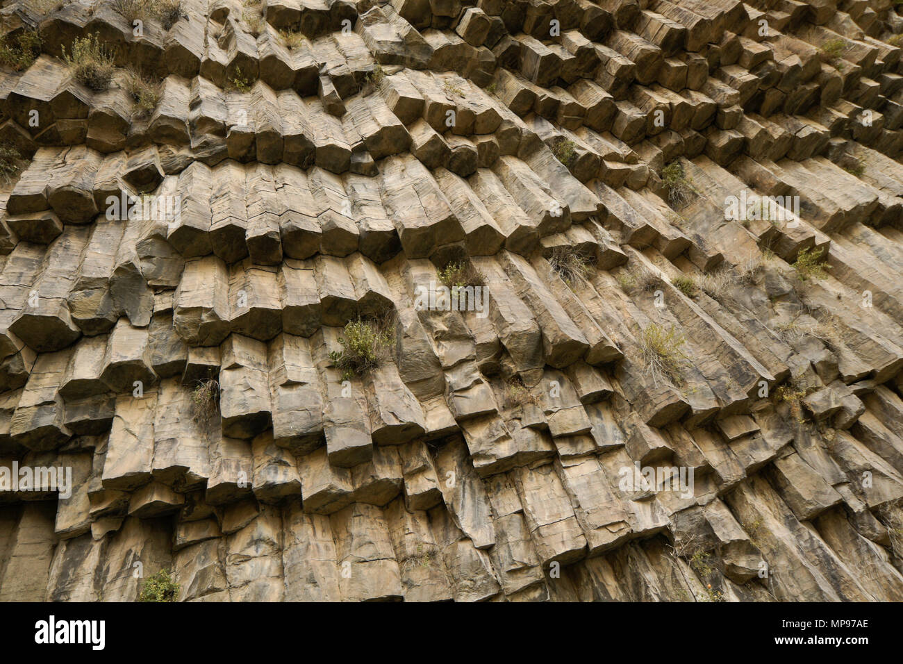 Geological formation of octagonal basalt columns in Garni Gorge called ...