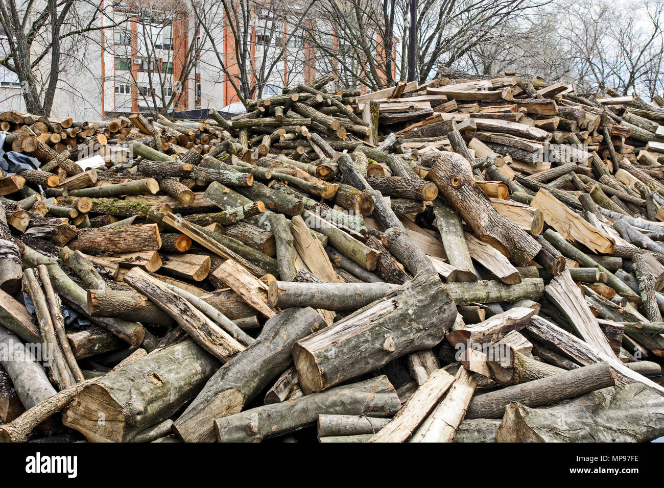 Wood at the depot, cut the log and ready for sale Stock Photo - Alamy