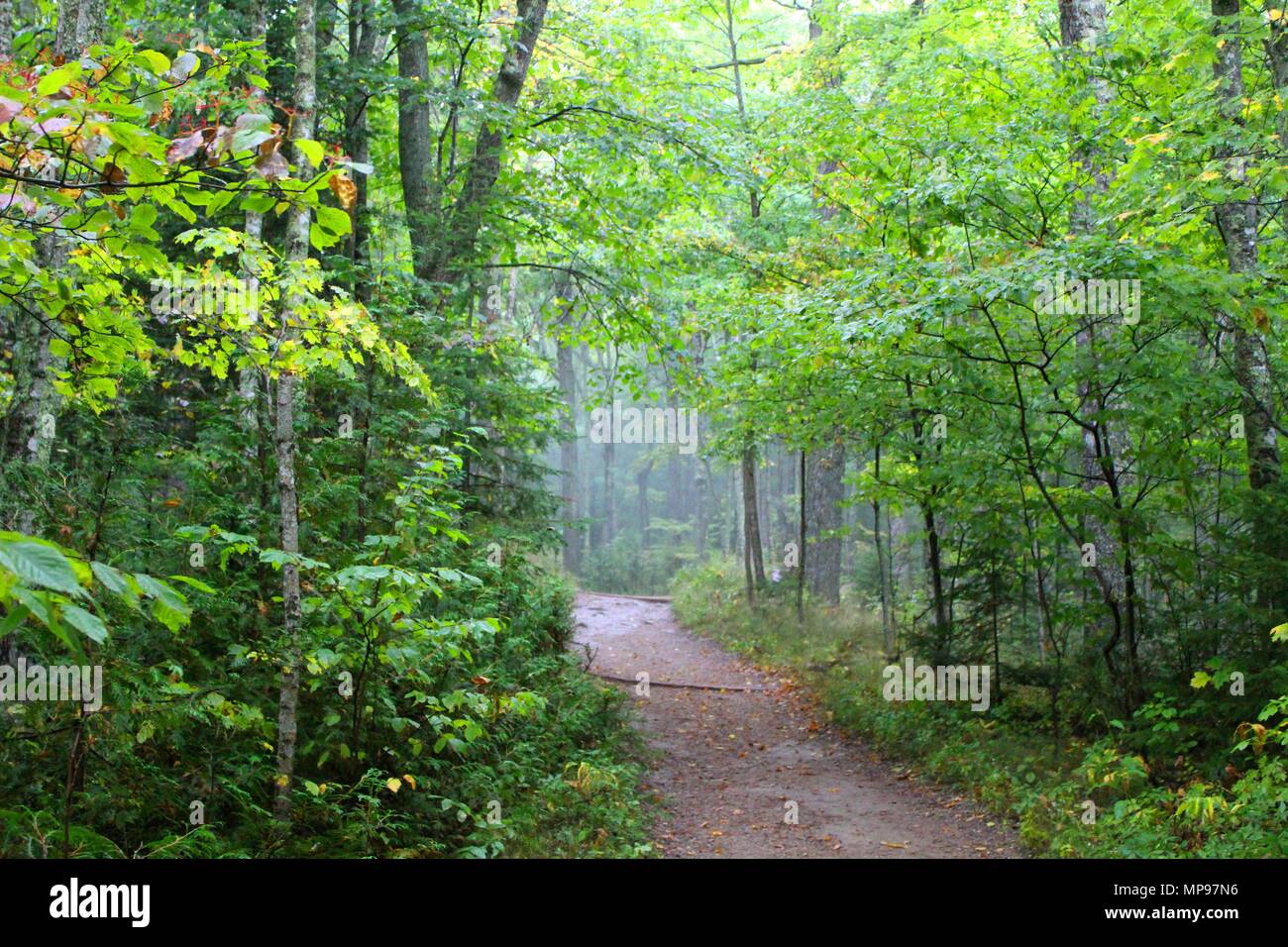 Waterfalls and Walking Trails Stock Photo - Alamy