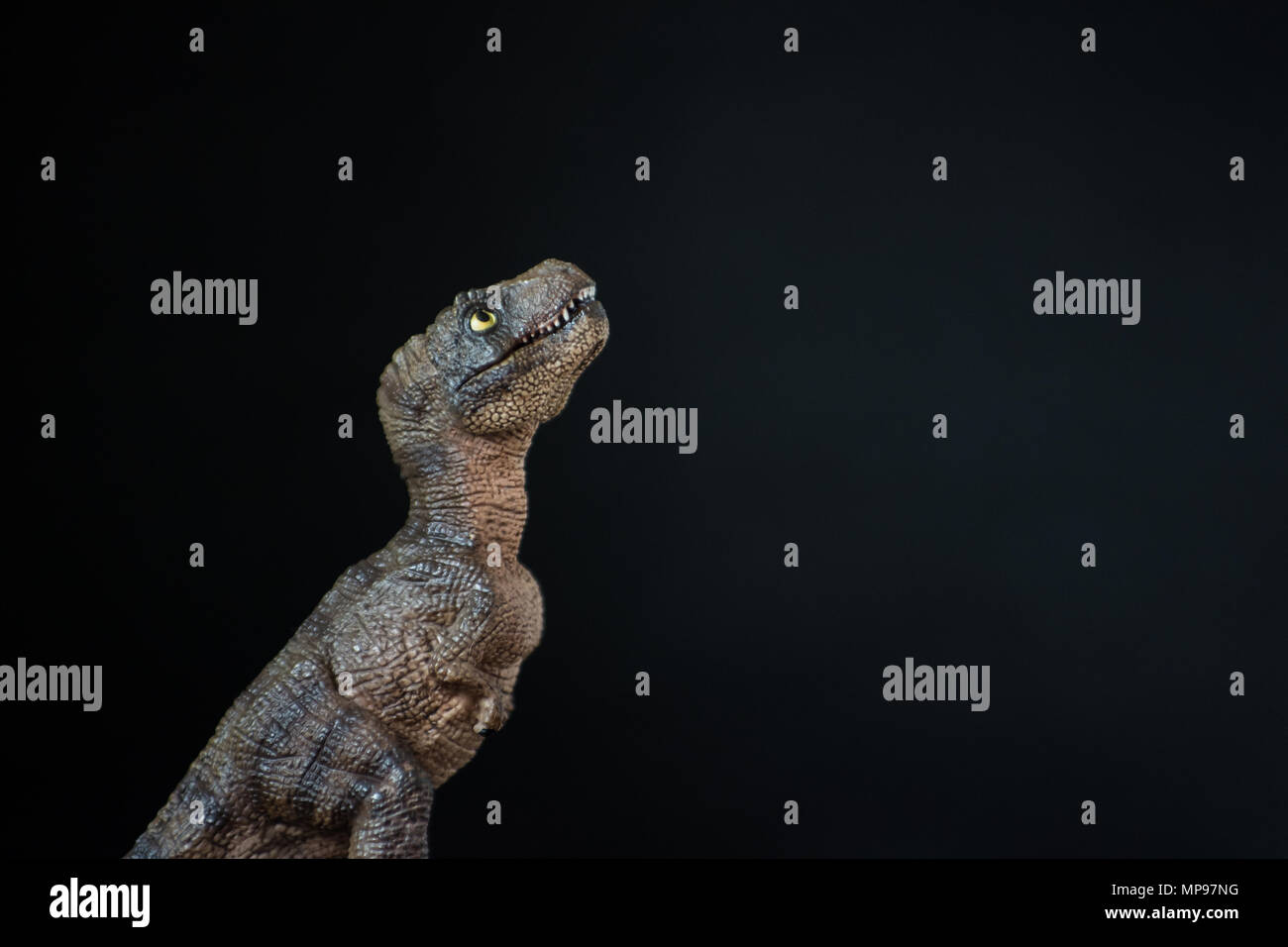 Tyrannosaurus rex baby hi-res stock photography and images - Alamy
