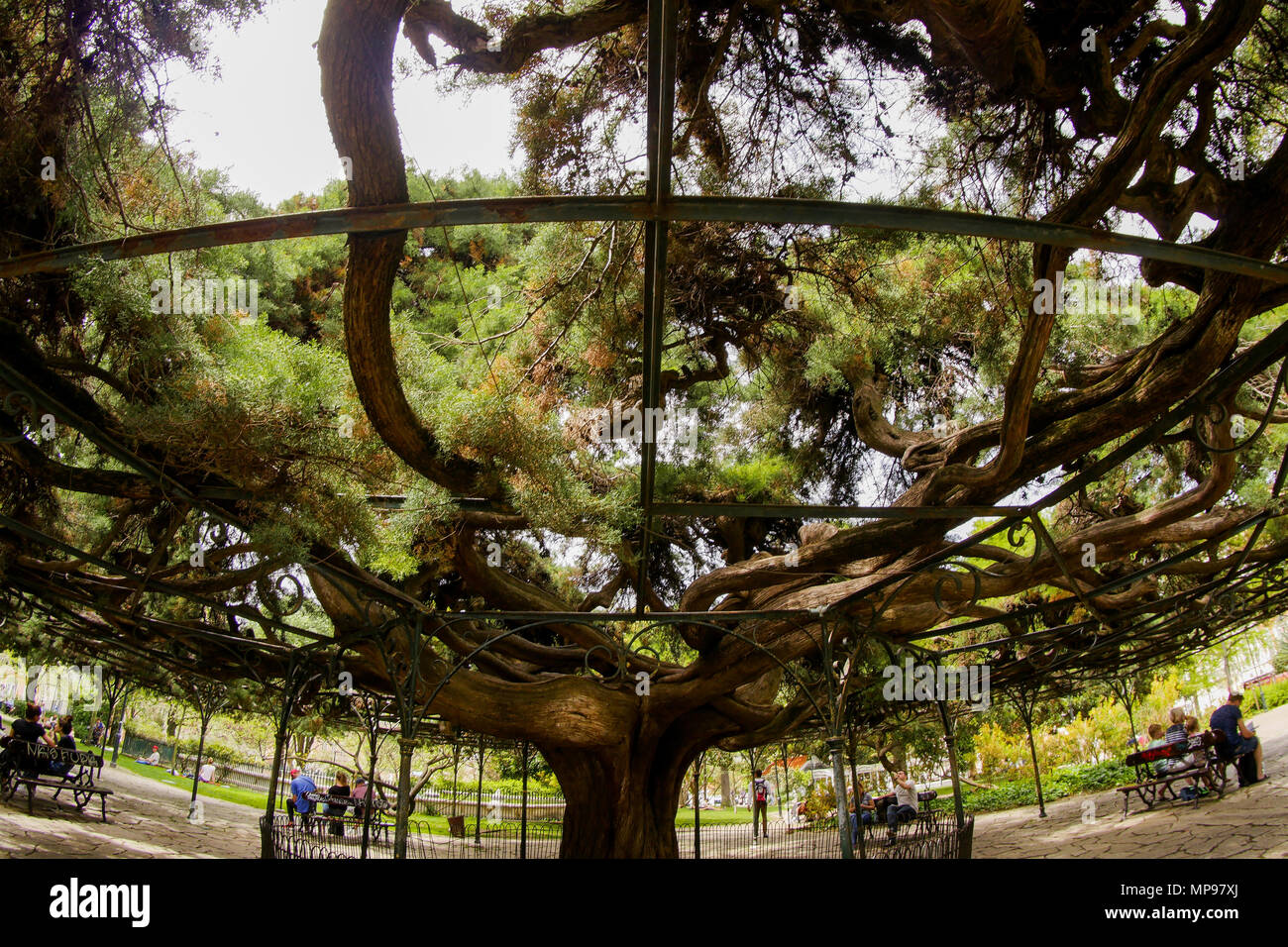 Principe Real square, Bairro Alto, Lisbon, Portugal Stock Photo - Alamy