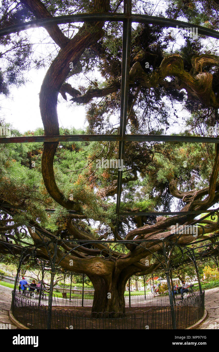 Lisbonne bairro alto hi-res stock photography and images - Alamy