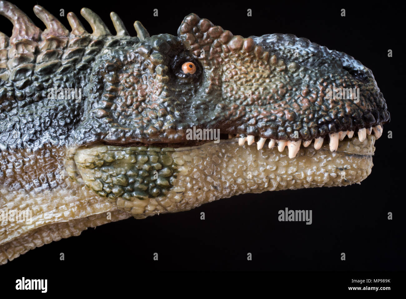 Theropoda hi-res stock photography and images - Alamy