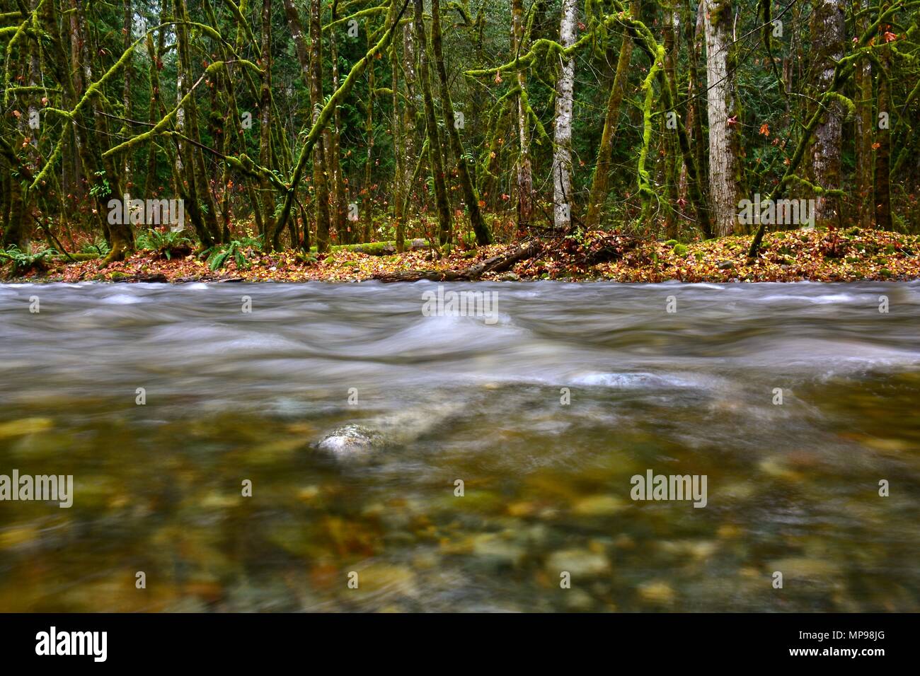 Goldstraam River, BC Stock Photo - Alamy