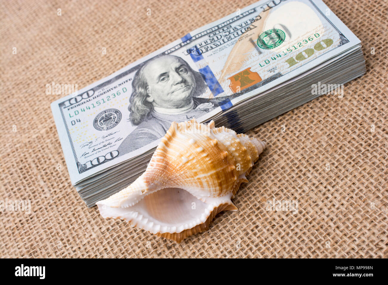 Sea shell placed on bundle of US dollar banknotes Stock Photo - Alamy