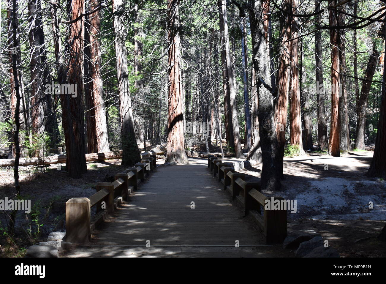 Yosemite Falls Trailhead, Yosemite National Park, California Stock ...
