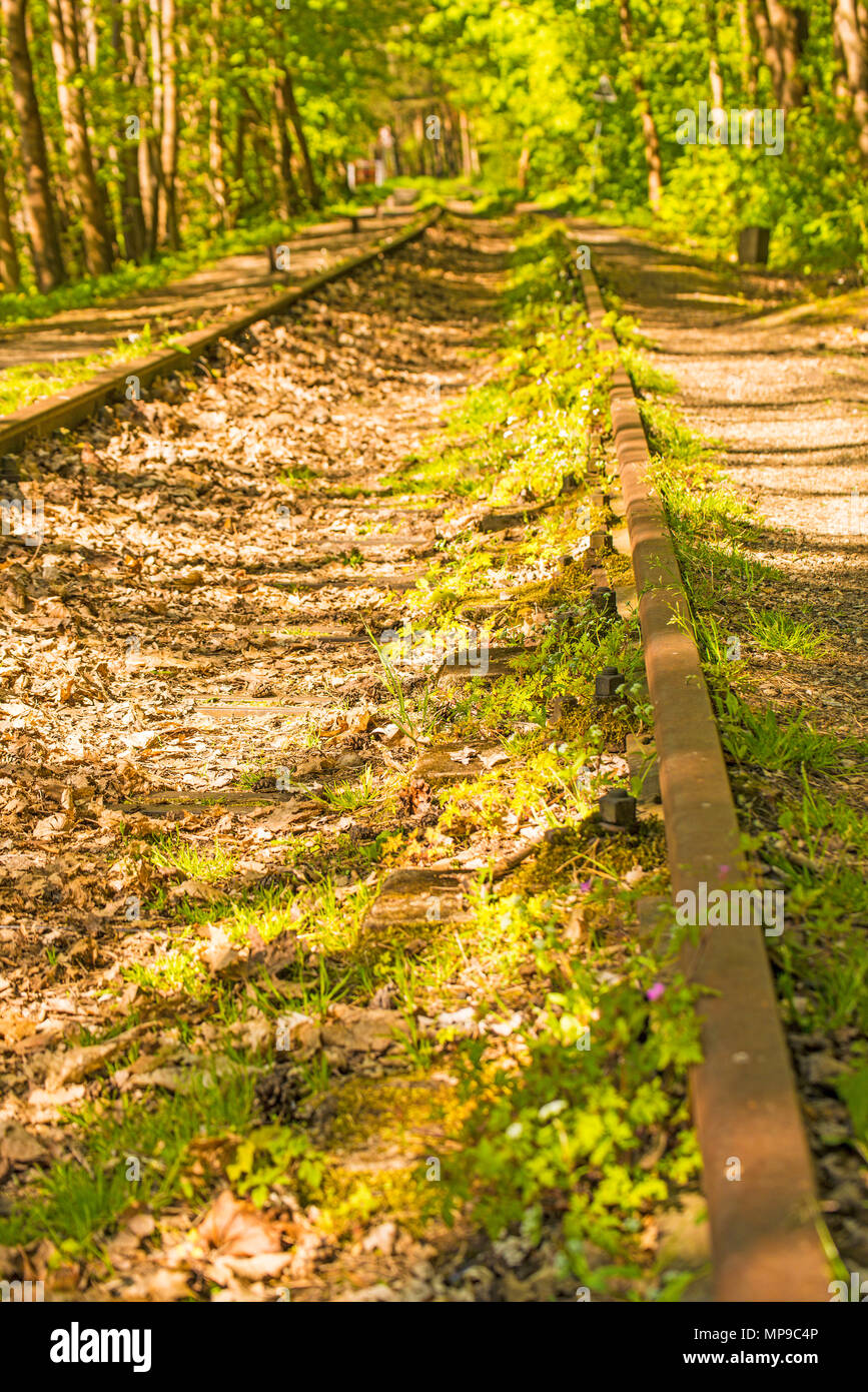 old rails overgrown with green grass Stock Photo - Alamy