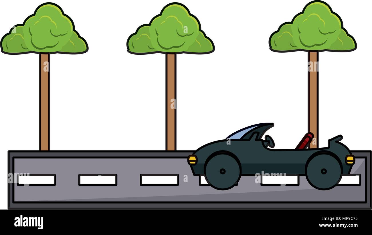 car on the road with trees over white background, vector illustration ...